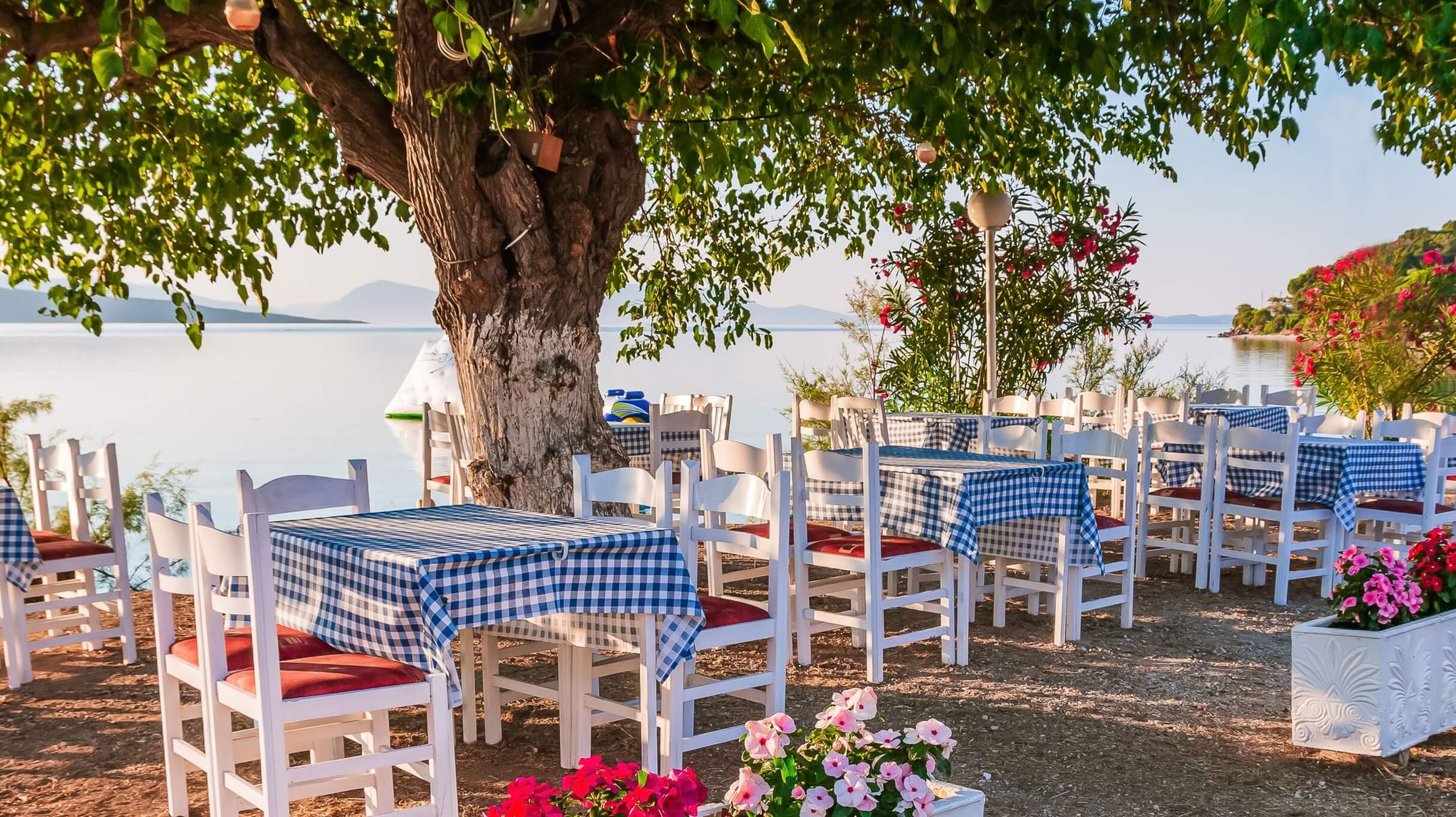 Lefkas | Norrköping Airport