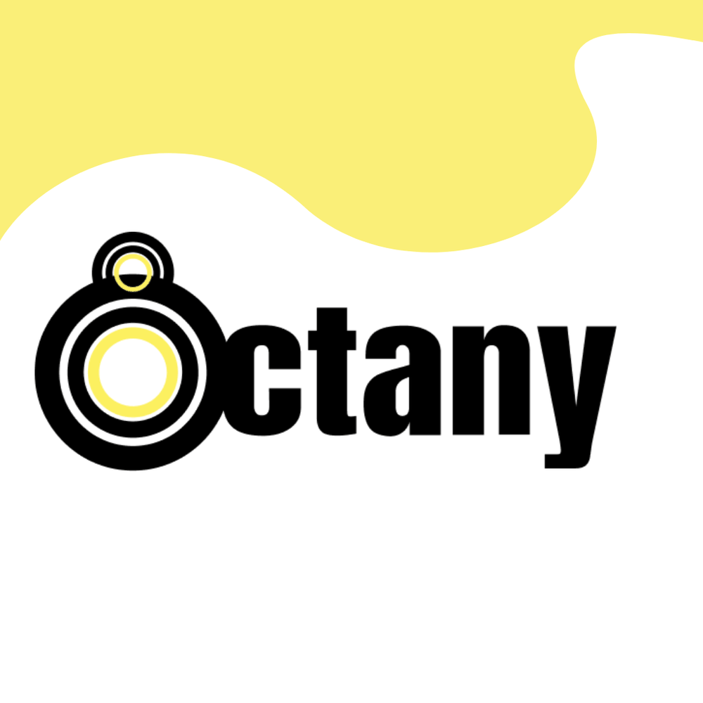 Recurring payments – The fundraising platform Octany