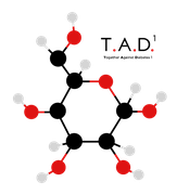 Kolhydraträkning – Lär dig kolhydraträkna med T1D-appen