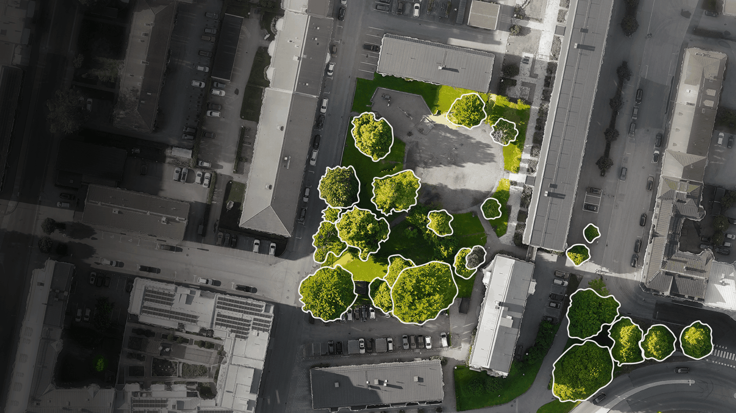 The 3-30-300 Rule: A Data-Driven Approach to Greener, Healthier Cities ...