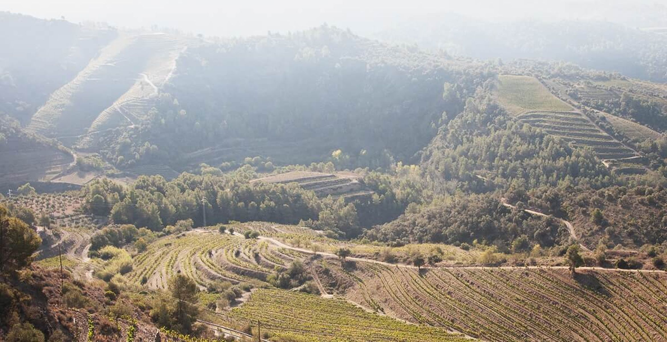 Det viktiga vattnet - Prioraty wines